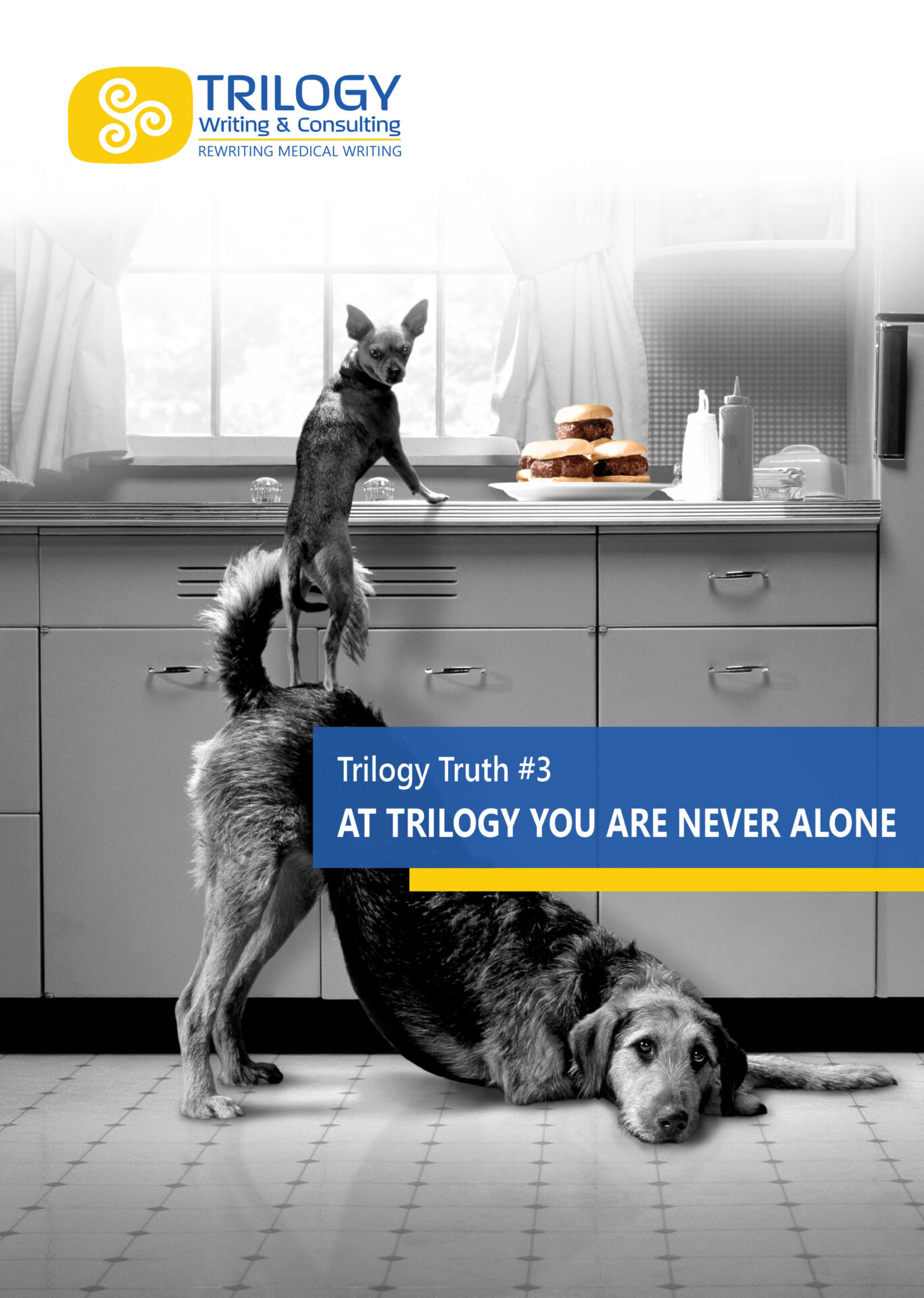 Life at Trilogy - Trilogy Writing & Consulting