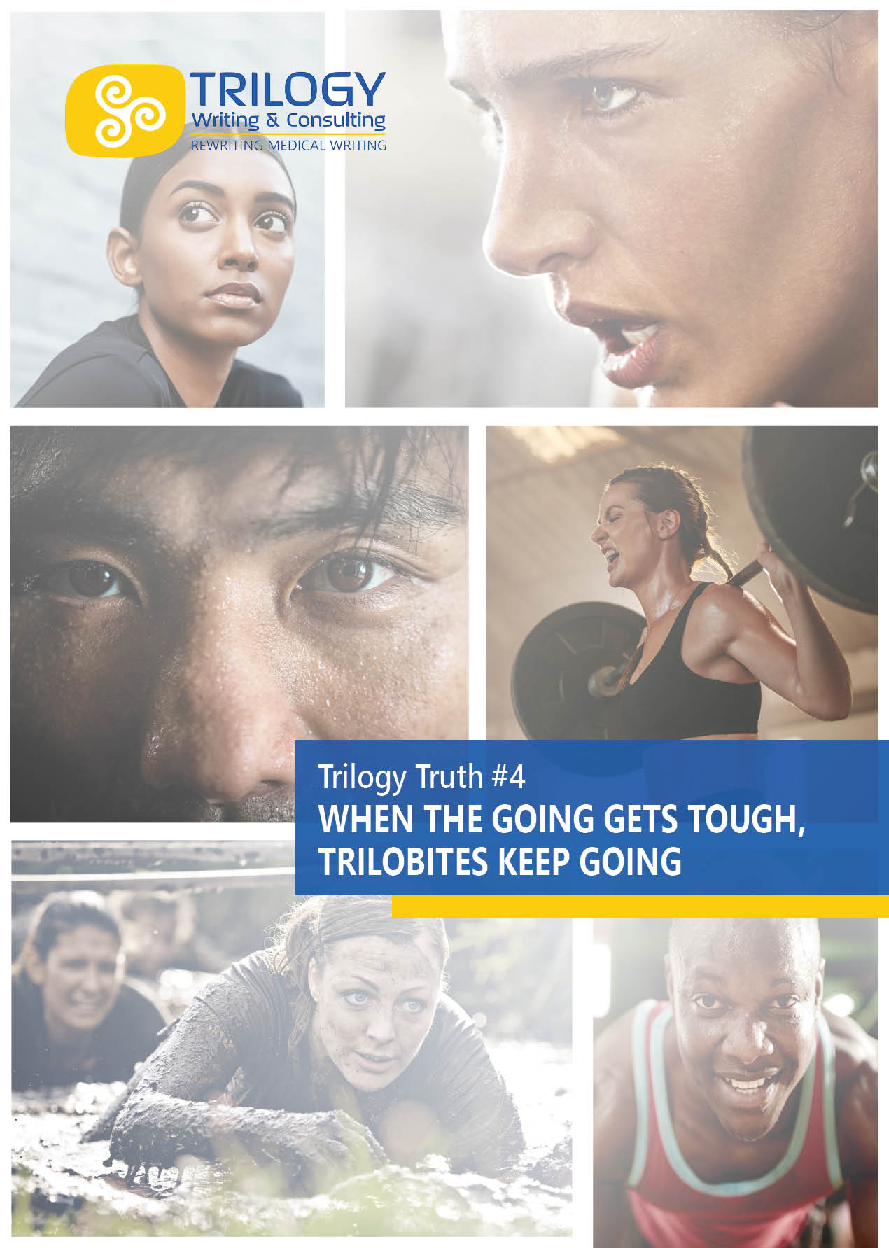 Life at Trilogy - Trilogy Writing & Consulting